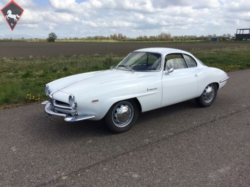 1964 Alfa Romeo Giulia 1600 SS is listed Sold on ClassicDigest in Fien ...