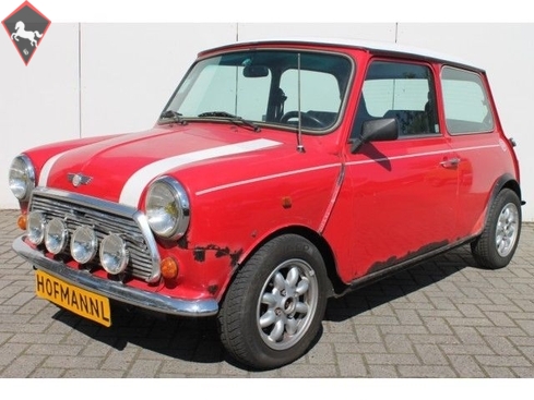 1990 Mini 1000 is listed Sold on ClassicDigest in Rodenburg 1NL-9351 PV ...